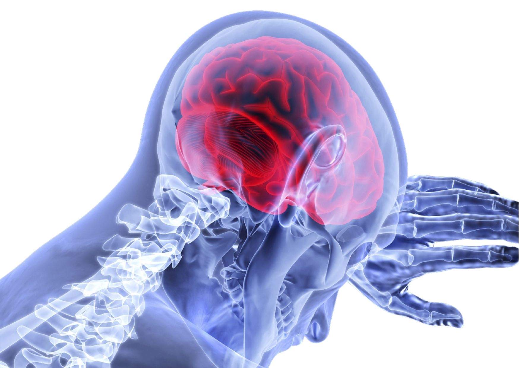 What Is Neuroinflammation of the Brain?