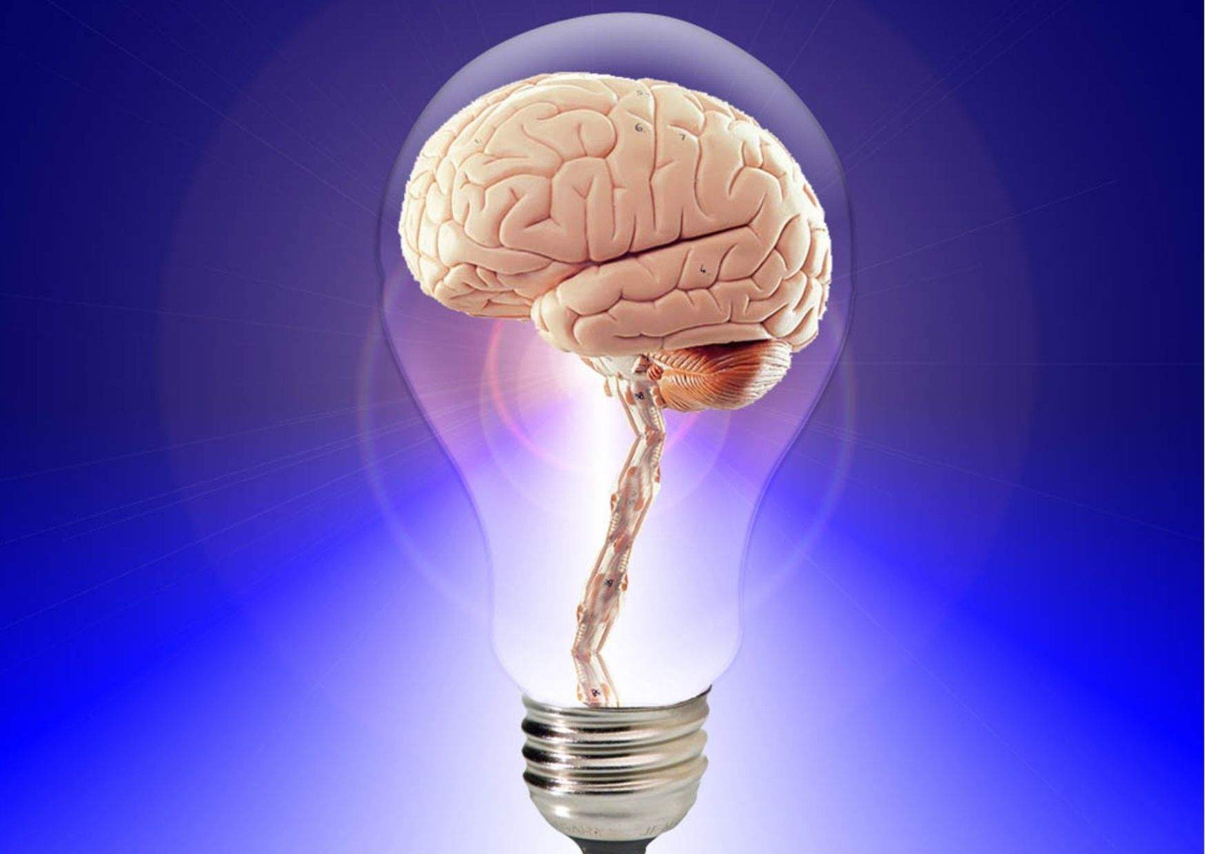 How to Improve the Brain Function?